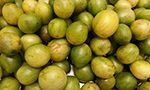 Seed and peel of umbu fruit have nutrients and compounds with bioactive ...