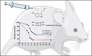 Bufotenine and new perspectives for the treatment of rabies - SciELO in ...
